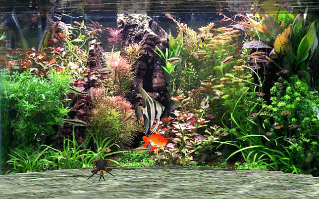 Fantastic Fish Screensaver for Windows - Screensavers Planet