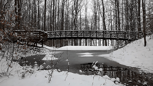 Winter Pond Foot Bridge Screensaver for Windows - Screensavers Planet