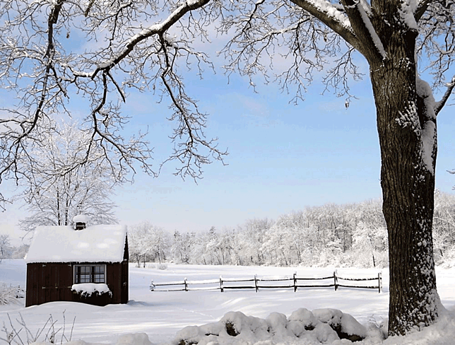 Winter Slideshow Screensaver for Windows - Screensavers Planet