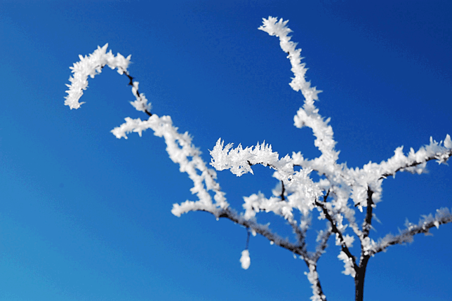 Winter Slideshow Screensaver for Windows - Screensavers Planet